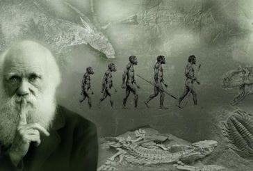 10 Bizarre Claims Made To Disprove Evolution - Listverse