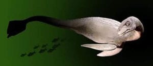 Top 10 Cryptids You've Never Heard Of - Listverse