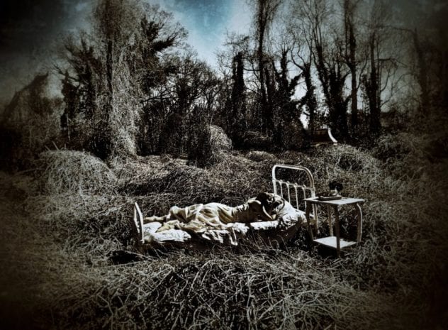 Top 10 Bizarre Abilities Of Human Vision - Listverse