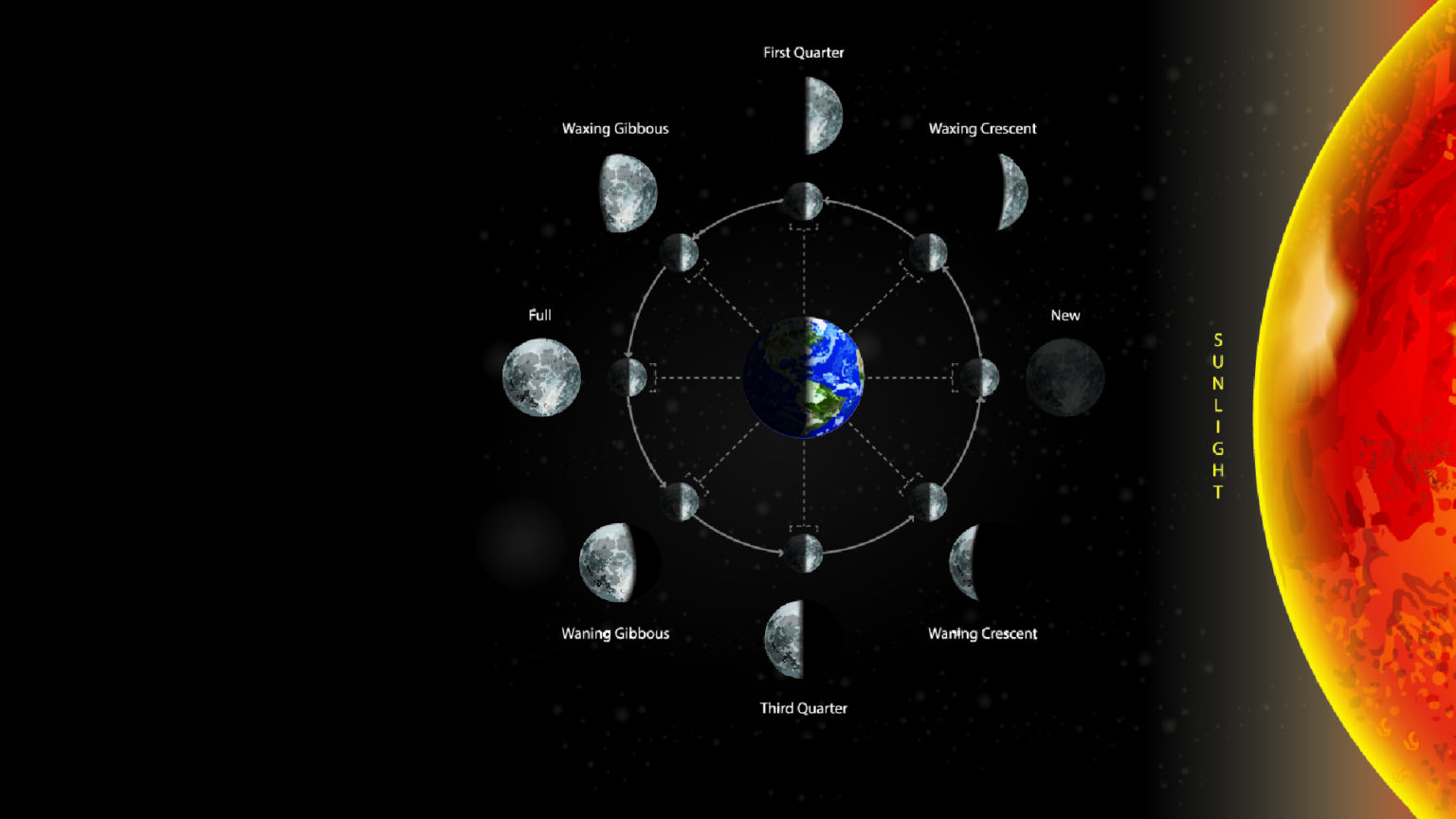 10 Bizarre Ways The Moon Affects Life On Earth - Listverse