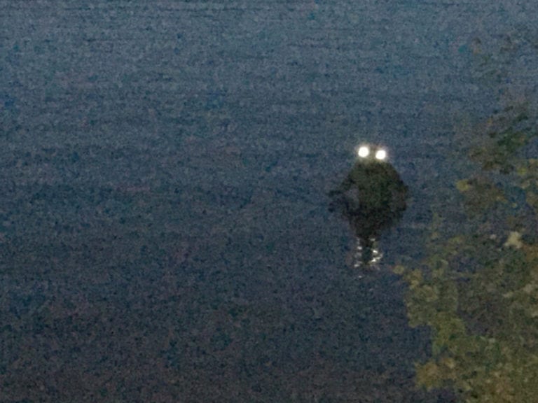 Top 10 Cryptids You've Never Heard Of - Listverse