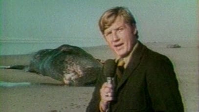 Top 10 Extraordinary Cases of Exploding Animals - Listverse