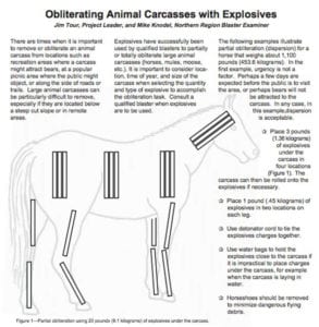 Top 10 Extraordinary Cases of Exploding Animals - Listverse