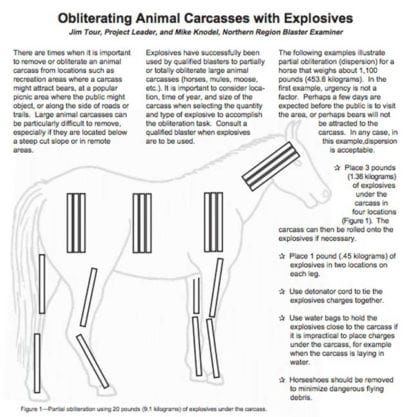 Top 10 Extraordinary Cases of Exploding Animals - Listverse