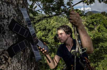 Top 10 Bizarre Conservation Ideas That Work - Listverse