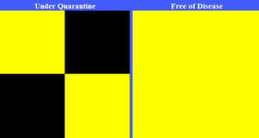 Top 10 Fascinating Facts About Quarantines - Listverse