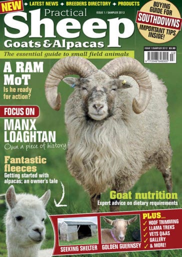 Top 10 Bizarre Magazines You Can Buy Today - Listverse