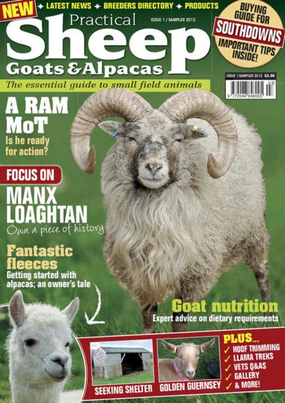 Top 10 Bizarre Magazines You Can Buy Today - Listverse