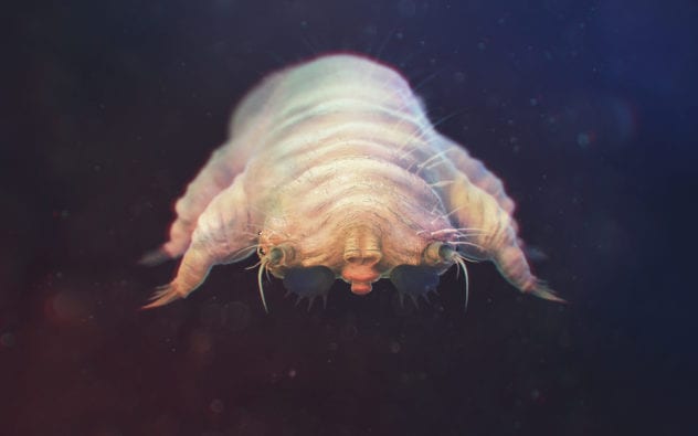 Top 10 Gross Things About The Human Body - Listverse