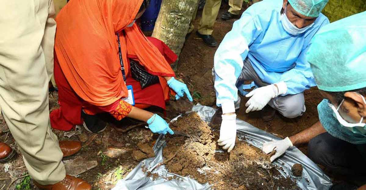 Top 10 Lesser Known Examples Of Man’s Cruelty - Top10 Chronicle