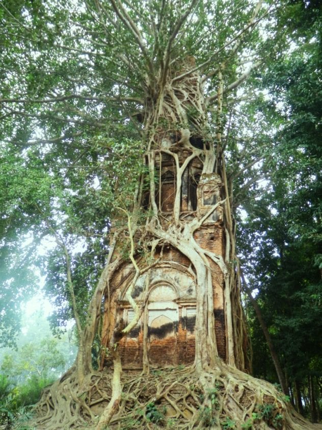 10 Man-Made Places Nature Decorated - Listverse