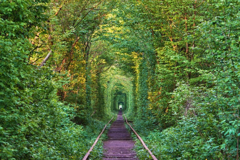 10 Man-Made Places Nature Decorated - Listverse