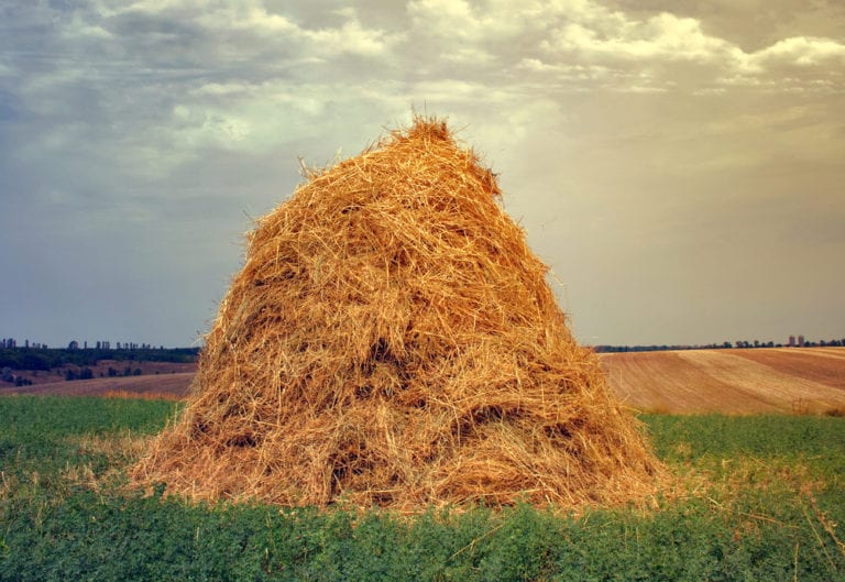 Top 10 Backstories For Popular Idioms - Listverse