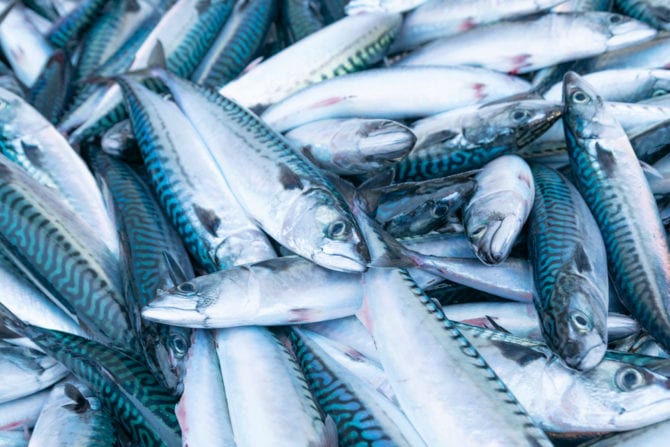 10 Bitter Conflicts Fought Over Seafood - Listverse