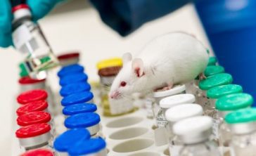 Ten Frightening and Lethal Hamster Attacks - Listverse