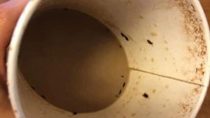 10 Disturbing and Disgusting Items Found in Starbucks Orders - Listverse