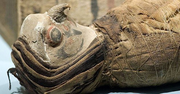 The Most Incredible Animal Mummies from Egypt - Listverse