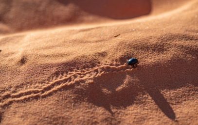 Top 10 Interesting Facts Involving Very Large Numbers - Listverse