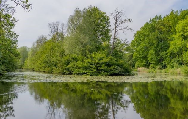 10 Times Ponds Were Surprisingly Strange - Listverse