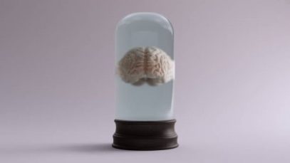 Ten Astonishing New Discoveries about the Brain - Listverse