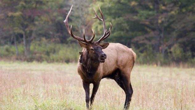 10 People Who Went Missing in Yellowstone National Park - Listverse