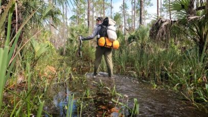10 Chilling Accounts of Disappearances in Everglades National Park ...