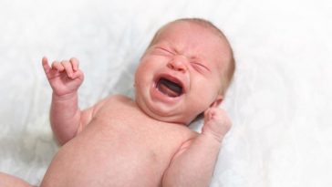 10 Things You Didn't Know Had Dirty-Sounding Names - Listverse